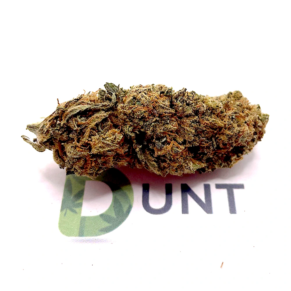 Miracle Alien Cookies (MAC) Kopen - 23% THC Hybrid | Dunt